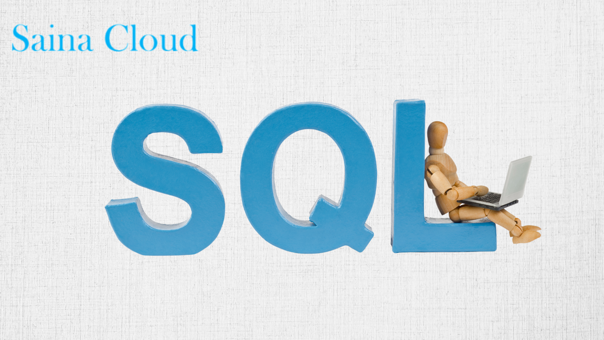 How to Assign System Administrator Role to User through SQL - Saina Cloud Software Solutions