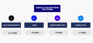 Cloud Solutions for Dynamics 365, Power Platform & Azure | Saina Cloud
